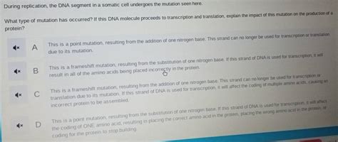 Solved During Replication The Dna Segment In A Somatic Cell Undergoes