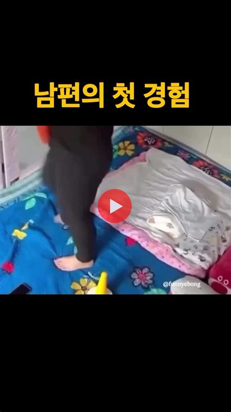 [고통주의] 남편의 첫 경험 유머 움짤 이슈 에펨코리아