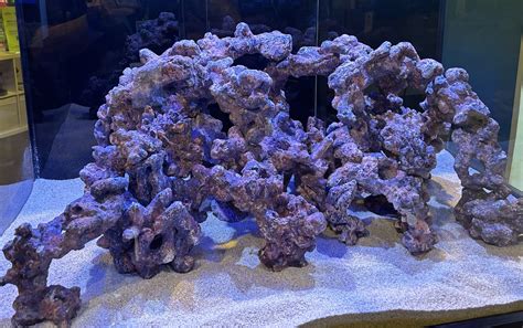 Reef Tank Aquascapes Uk