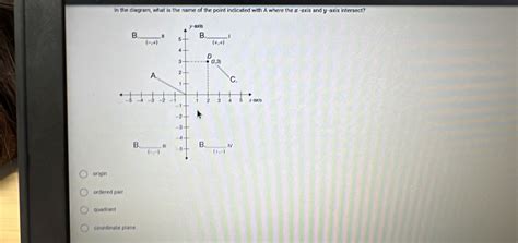 Solved In The Diagram What Is The Name Of The Point Indicated With A Where The Z Axis And Y