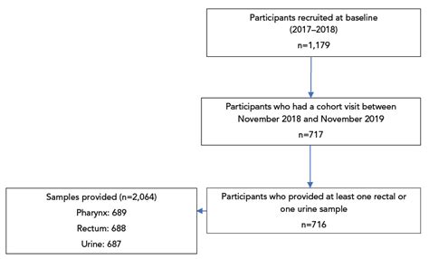 Mycoplasma Genitalium Among Gay Bisexual And Men Who Have Sex With Men