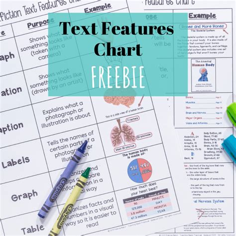 Engaging Low Prep Activities For Teaching Text Features Teaching Made Practical