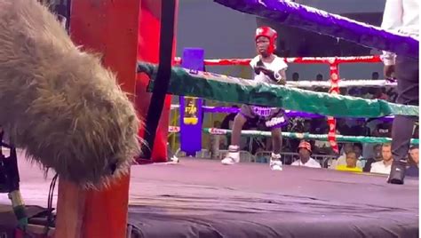 Joana Owoo The 8 Year Old Bukom Boxing ‘prodigy Sparring Her Way To The Top Sports News