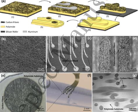 Flexible Microelectrode Array Based On Micropatterned Monolithic Carbon Download Scientific