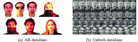 sample from face recognition database download scientific diagram