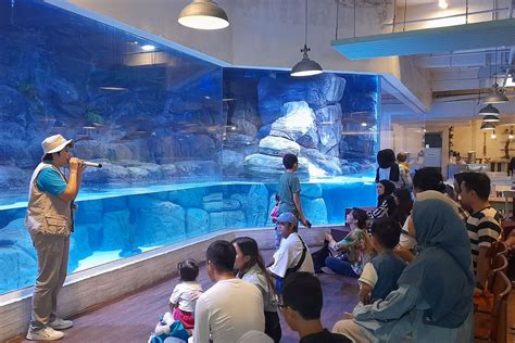 Itinerary Seharian Di Jakarta Aquarium Ngabuburit Sampai Buka Puasa