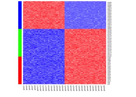 Introduction Meringue