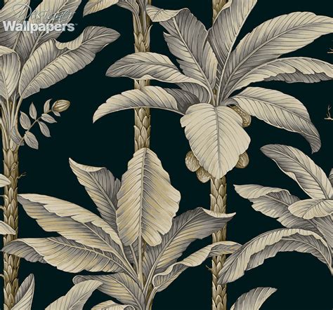 Today Interiors Savannah Grass Ls60100 Ls60106 Next Day Delivery