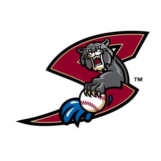 Sacramento River Cats Logo Png Vectors Free Download