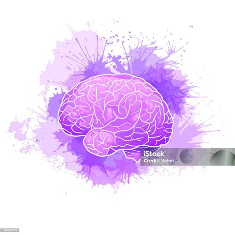 국제 알츠하이머의 날 보라색 수채화 얼룩이있는 인간의 뇌 질병과 멸종 벡터 만화 일러스트 보라색에 대한 스톡 벡터 아트 및 기타 이미지 Istock