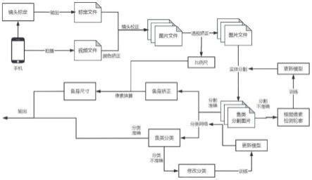一种基于深度学习的鱼类资源快速识别方法和系统与流程