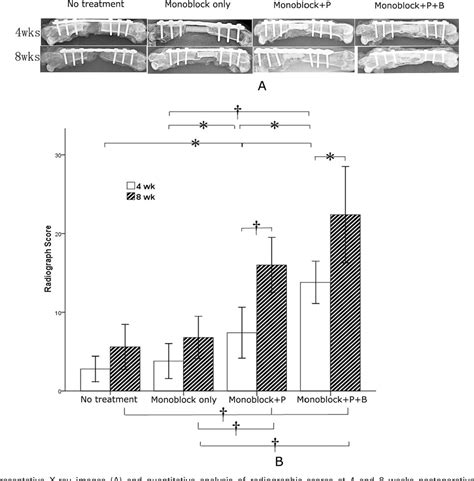 Figure 3 From Repair Of A Critical Size Segmental Rabbit Femur Defect Using Bioglass β Tcp