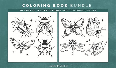 Insects And Bugs Coloring Book Kdp Interior Design Vector Download