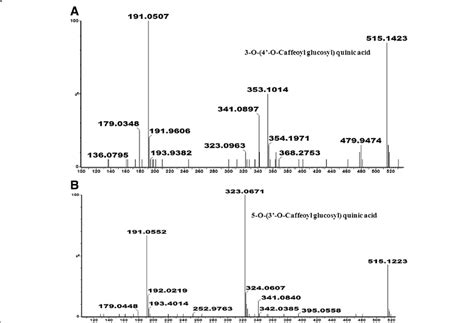 Mass Spectra Of The Fragmentation Patterns Of 3 O 4 O Caffeoyl
