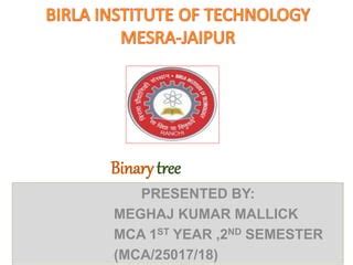 Binary Tree In Data Structure PPTX Programming Languages Computing