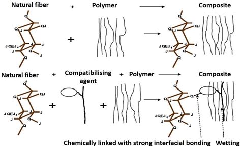 Thermogravimetric Analysis Properties Of Cellulosic Natural Fiber