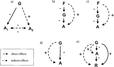 Models Of Indirect Effects In Littoral Food Webs G Grazer A Algae