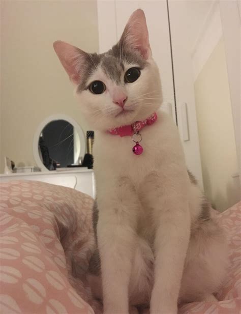 Shes Precious And She Knows It💕 R Disneyeyes