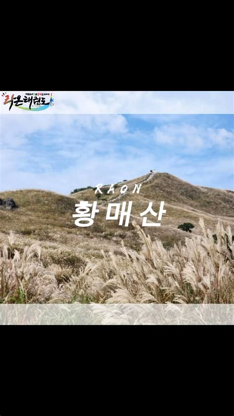 라온태권도장 Reels Taekwondowon 주촌 Instagram