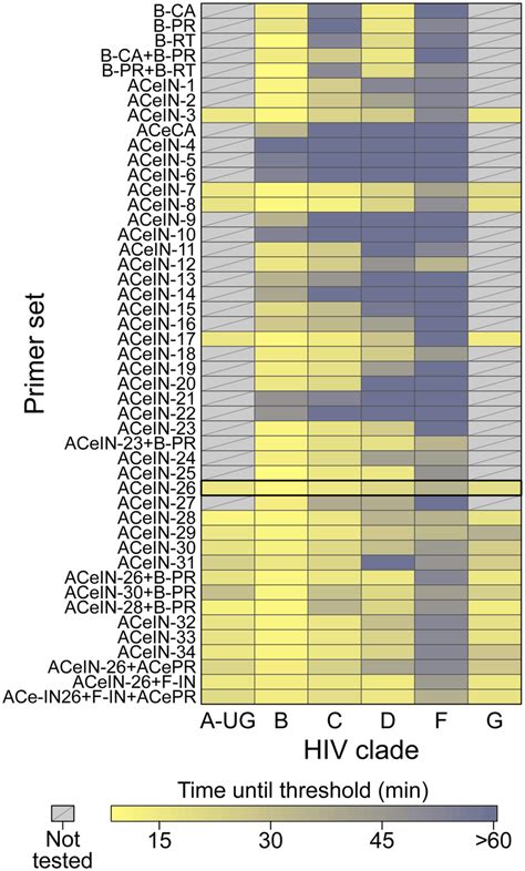 Summary Of Amplification Results For All The Rt Lamp Primer Sets Tested