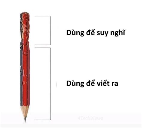 Giờ Mới Biết 😊 Tran Hai