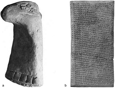 Polydactyly In Development Inheritance And Evolution The Quarterly