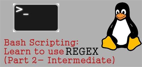 Bash Scripting Learn To Use Regex Part 2 Intermediate Script Learning Regular Expression