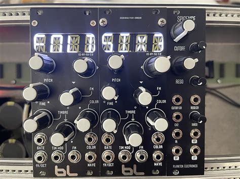 Blue Lantern Braids Macro VCO PAIR Reverb