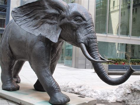 Tembo Mother Of Elephants To Cityscapes