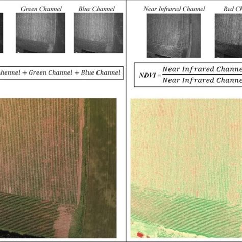 Generated Dataset Sample For The Training Of Generative Adversarial Download Scientific Diagram