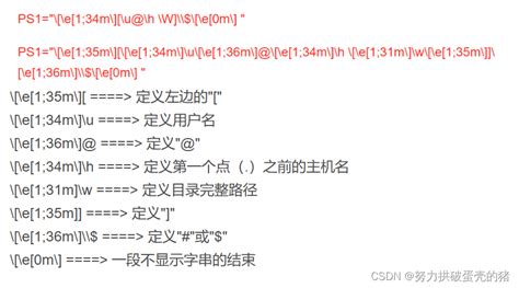 Linux系统基本操作需知 Csdn博客