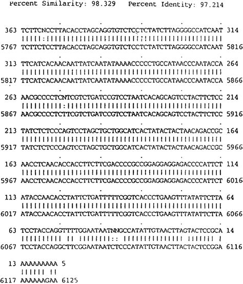 Sequence Comparison Of Differential Display Pcr Product B36 And