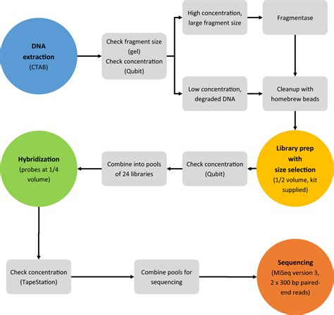 Example Workflow Diagram For Costeffective Target Capture Sequencing Download Scientific