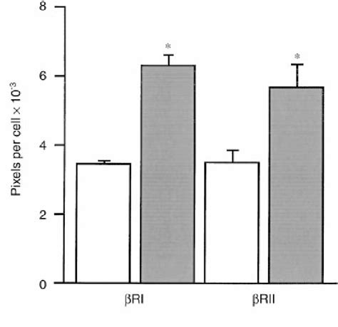 Figure 8 From Tgf Beta Receptor Expression And Binding In Rat Mesangial Cells Modulation By