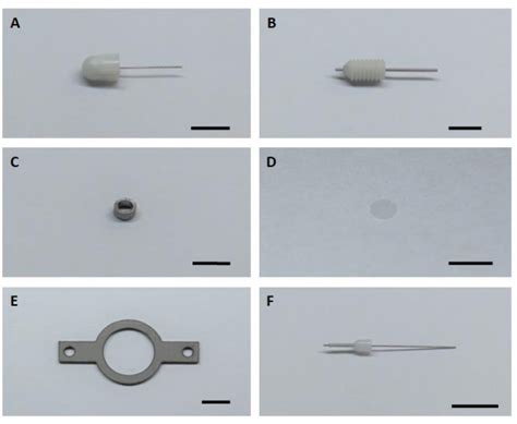 Craniotomy Procedure For Visualizing Neuronal Activities In Hippocampus Of Behaving Mice