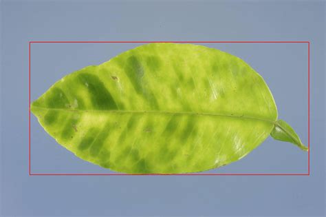 C OpenCV Finding Height And Width Of A Contoured Image Stack Overflow