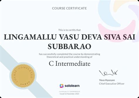 Vasu Lingamallu On Linkedin C Means Full Of Fun But Goes Into Its Full
