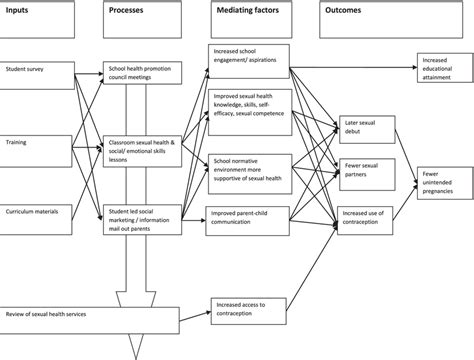 Logic Model Of Positive Choices Download Scientific Diagram
