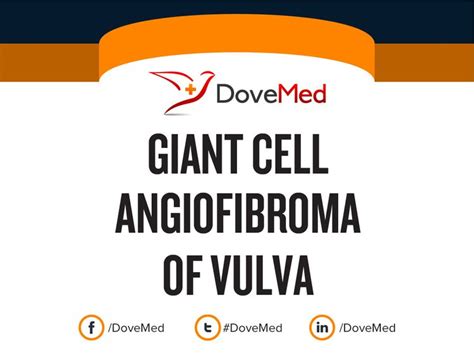 Giant Cell Angiofibroma Of Vulva