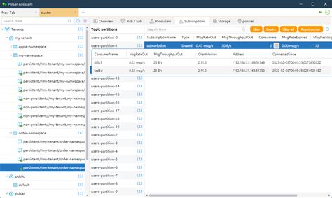 Apache Pulsar 桌面端图形化管理工具 Gui （pulsar Assistant）pulsar可视化工具 Csdn博客