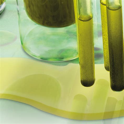 Algae Oil Epa Dha Henry Lamotte Oils Gmbh Ingredients Network