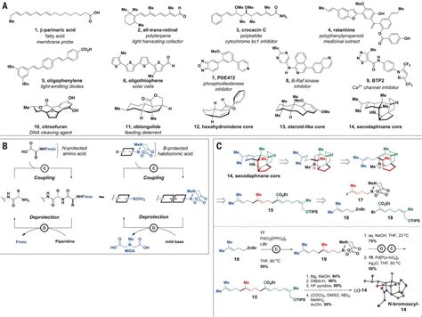 Synthesis Of Many Different Types Of Organic Small Molecules Using One