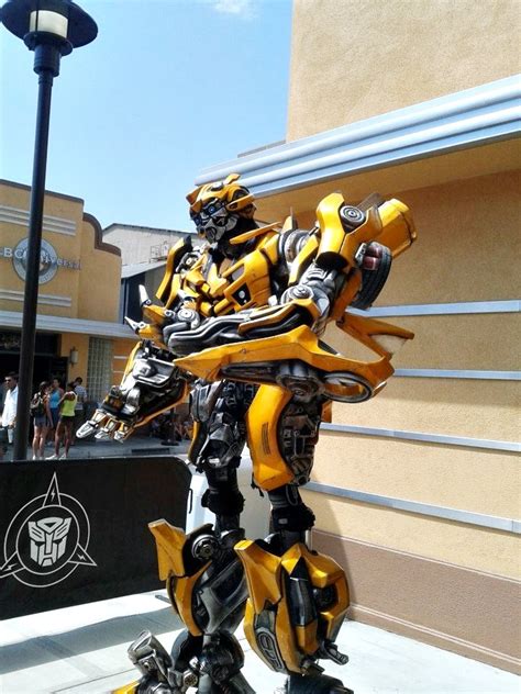 Dream Come True To See The Real Bumblebee