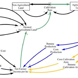 Representation Of The Case Study Model As A Causal Loop Diagram The Download Scientific