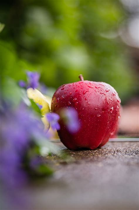 แอปเปิ้ลสีแดง แอปเปิ้ลเหลือง ภาพฟรีบน Pixabay Pixabay