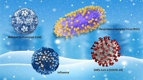 Know Your Respiratory Virus Enemies This Season Johns Hopkins Medicine