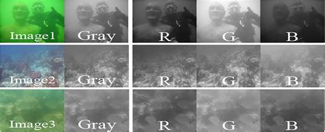 Global Feature Fusion Generative Adversarial Network For Underwater Image Enhancement Liu