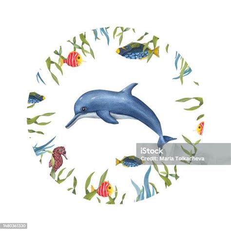 돌고래 물고기 흰색 배경에 격리된 잡초가 있는 수채화 프레임 벽지 인쇄 아기 섬유 로고 스크랩북 엽서 의류에 대 한 그림 엽서에 대한 스톡 벡터 아트 및 기타 이미지
