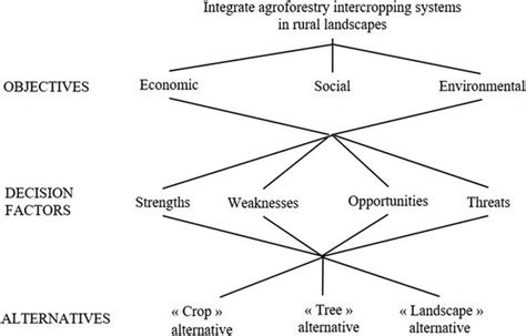 Hierarchy Of The Decision Making Process Download Scientific Diagram