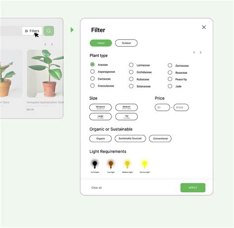 Search Bar Plant Shop By Sophia Khabalashvili On Dribbble